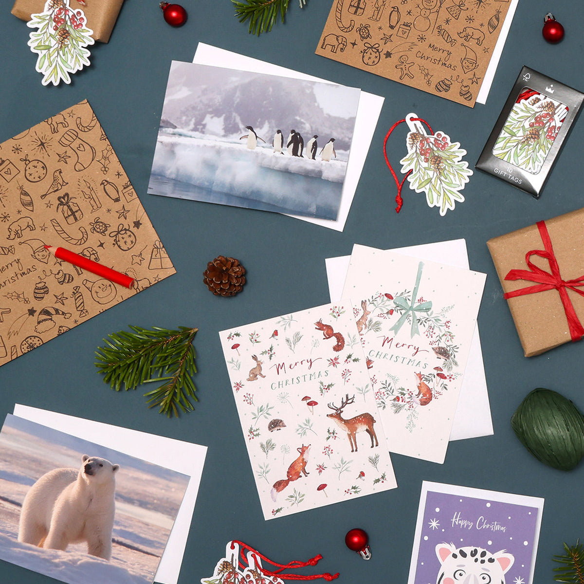 Christmas Wrapping Paper | Christmas Cards | WWF UK