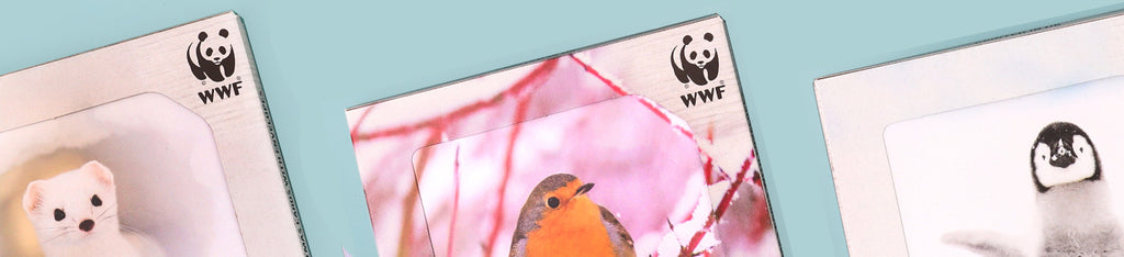 Christmas Cards | WWF UK