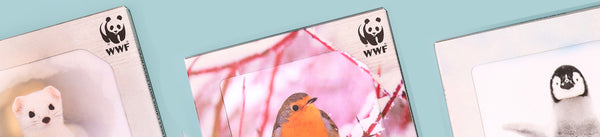 Christmas Cards | WWF UK