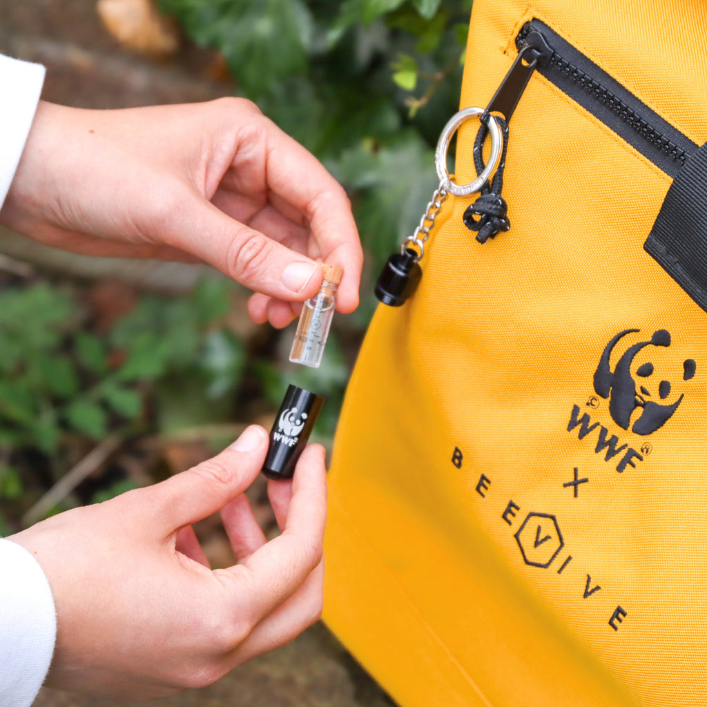 Best Sellers | WWF UK – Page 4