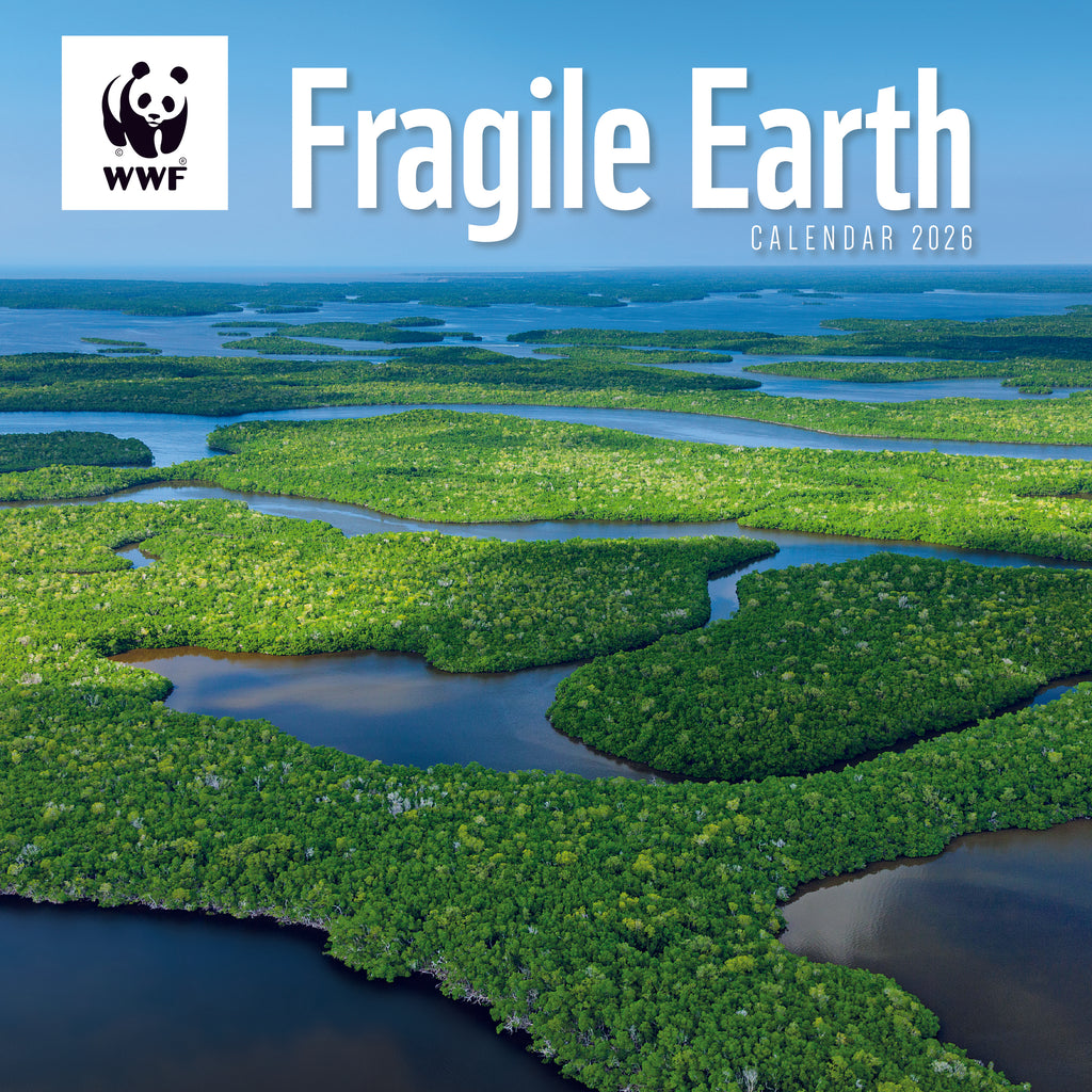 Fragile Earth Wall Calendar 2026