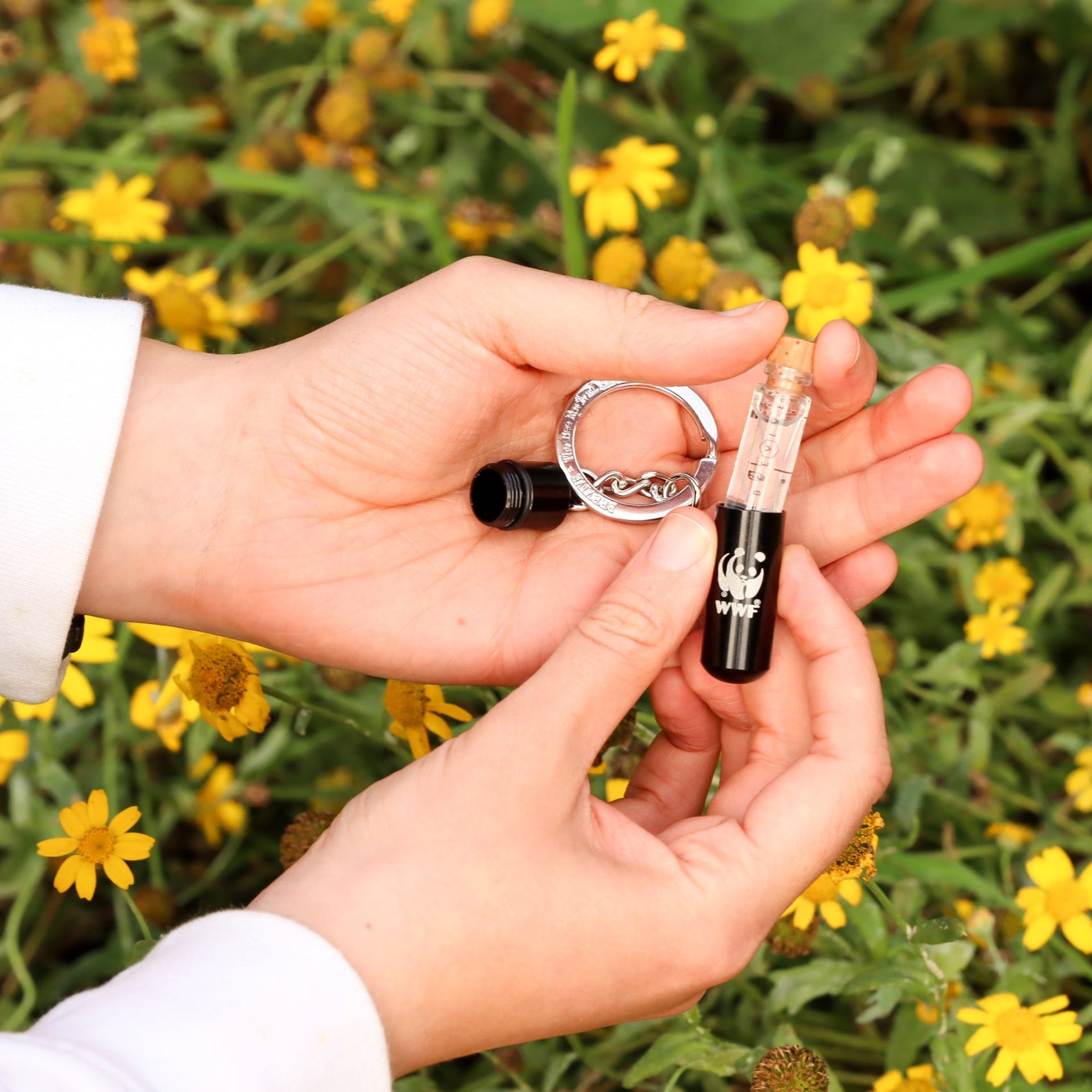 The Original Bee Revival Kit