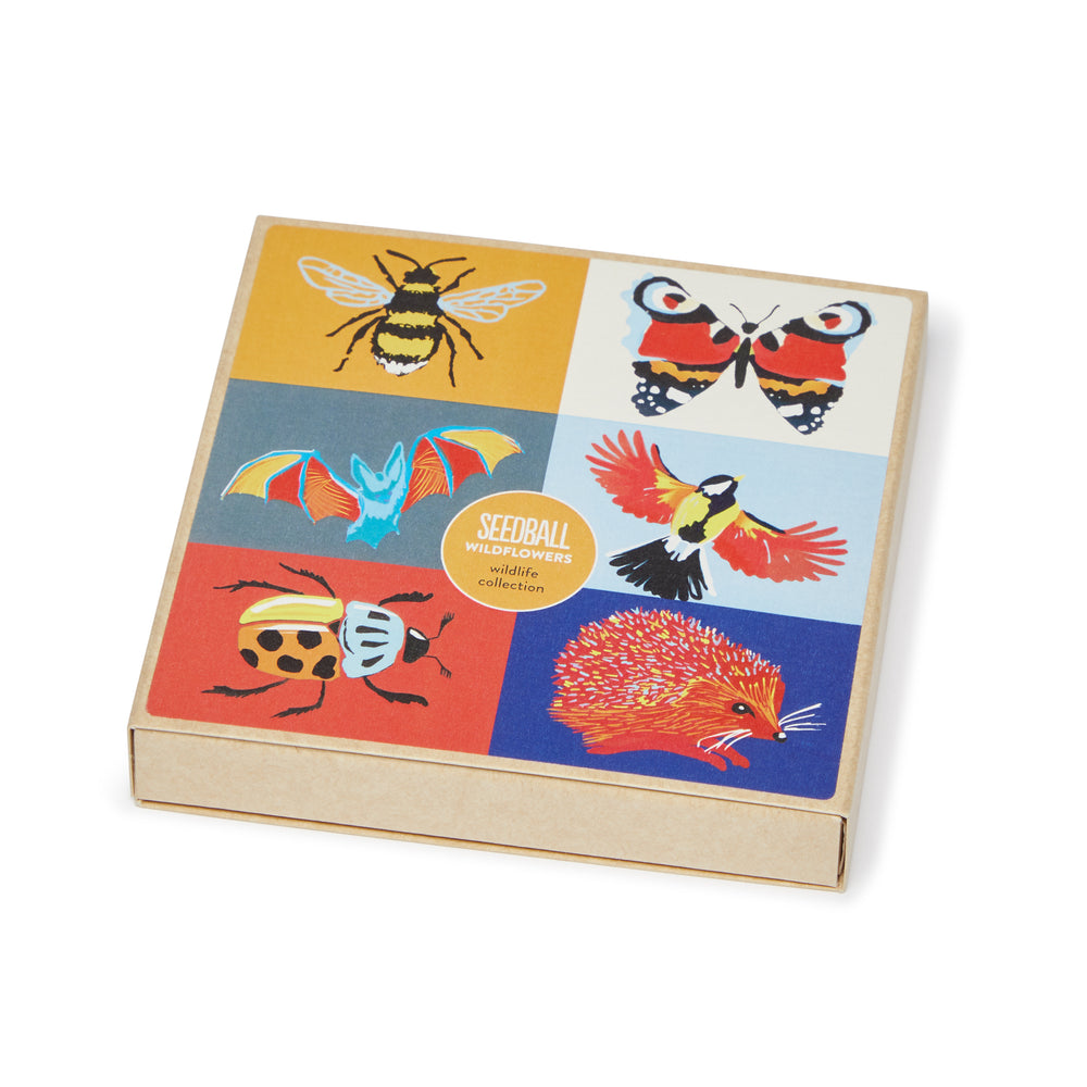 Seedball Wildflower Gift Set - Wildlife Collection