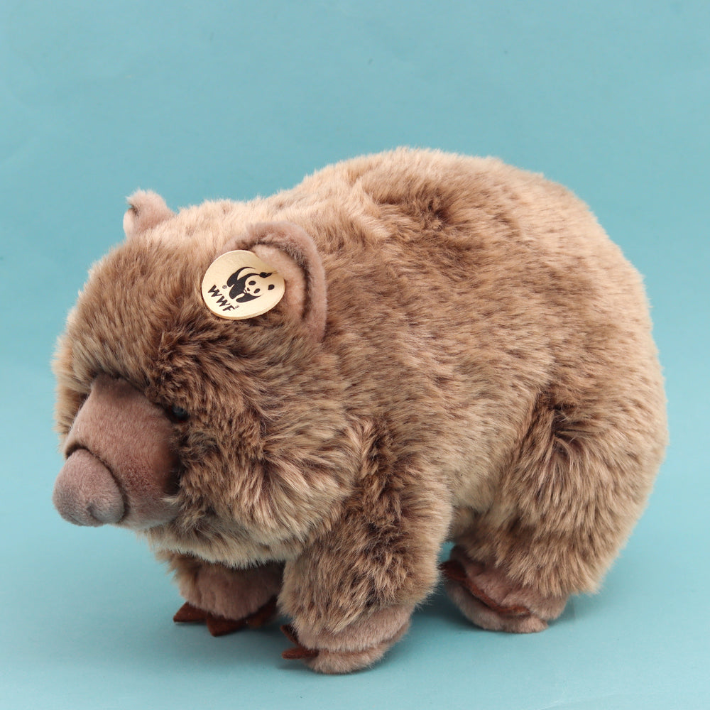 Plush Wombat Toy