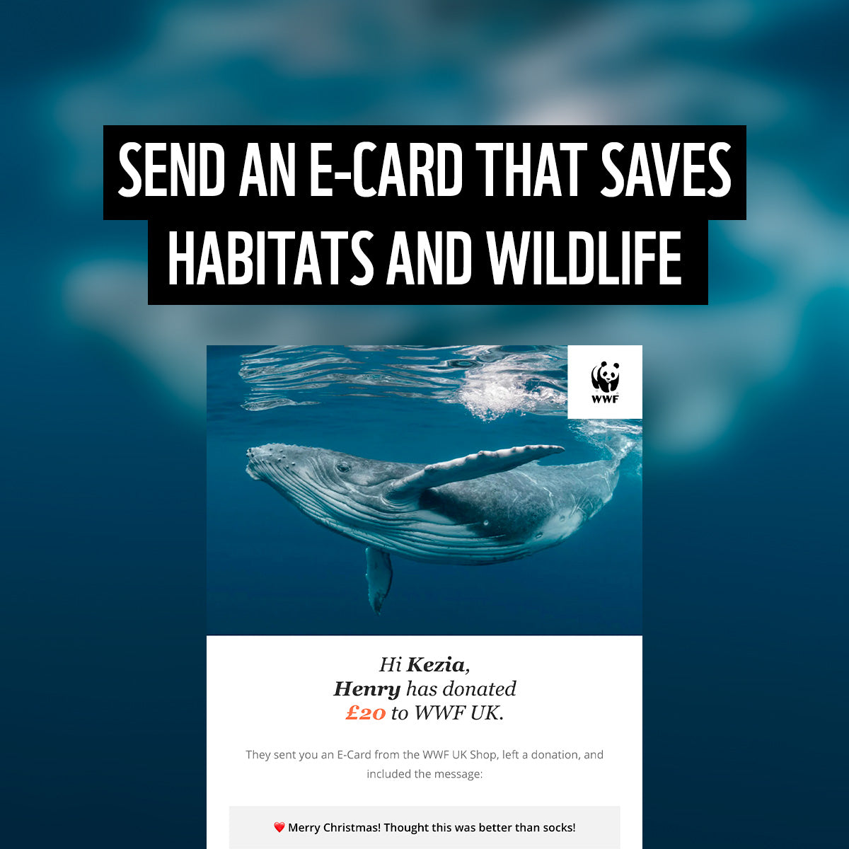 E-Cards | WWF UK