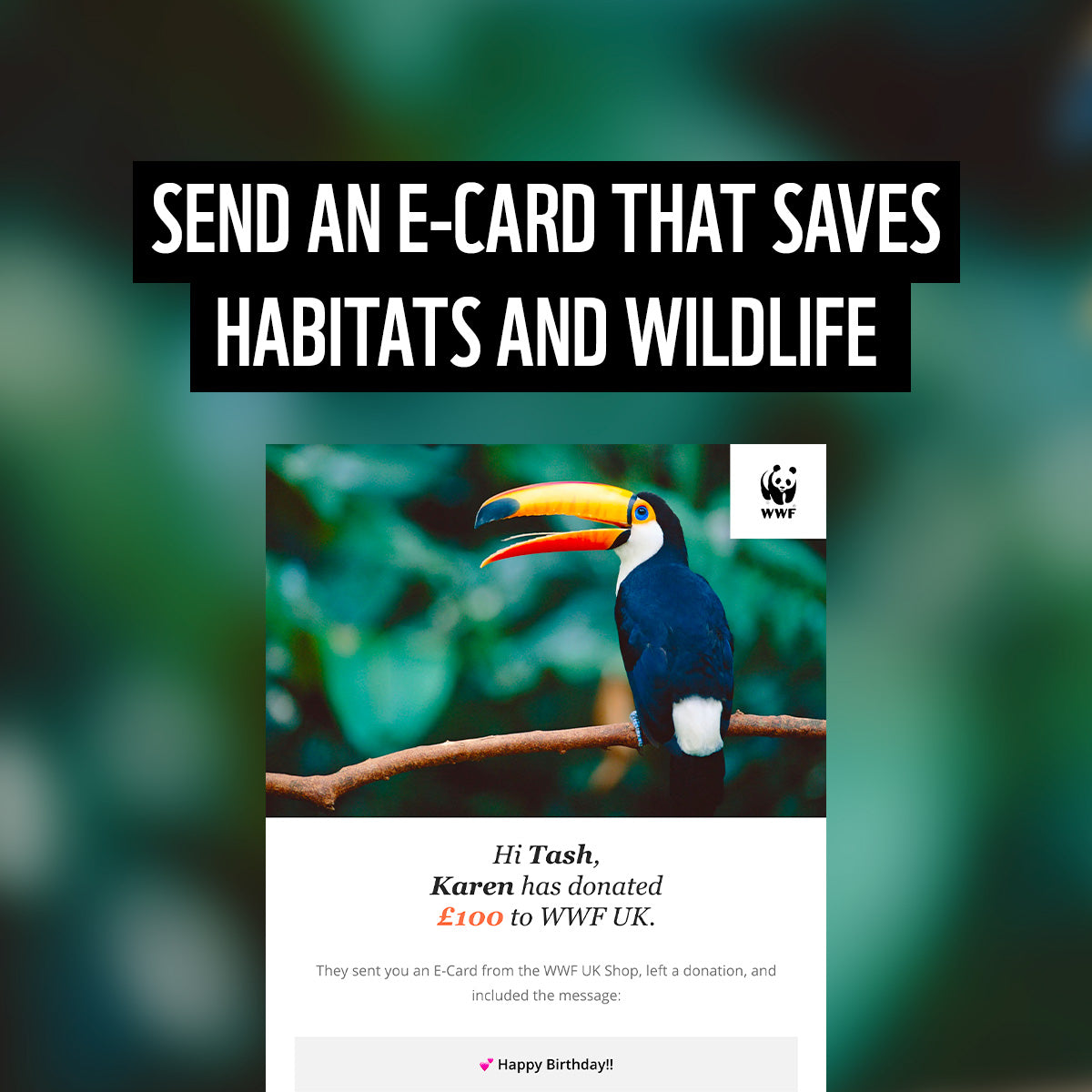 E-Cards | WWF UK