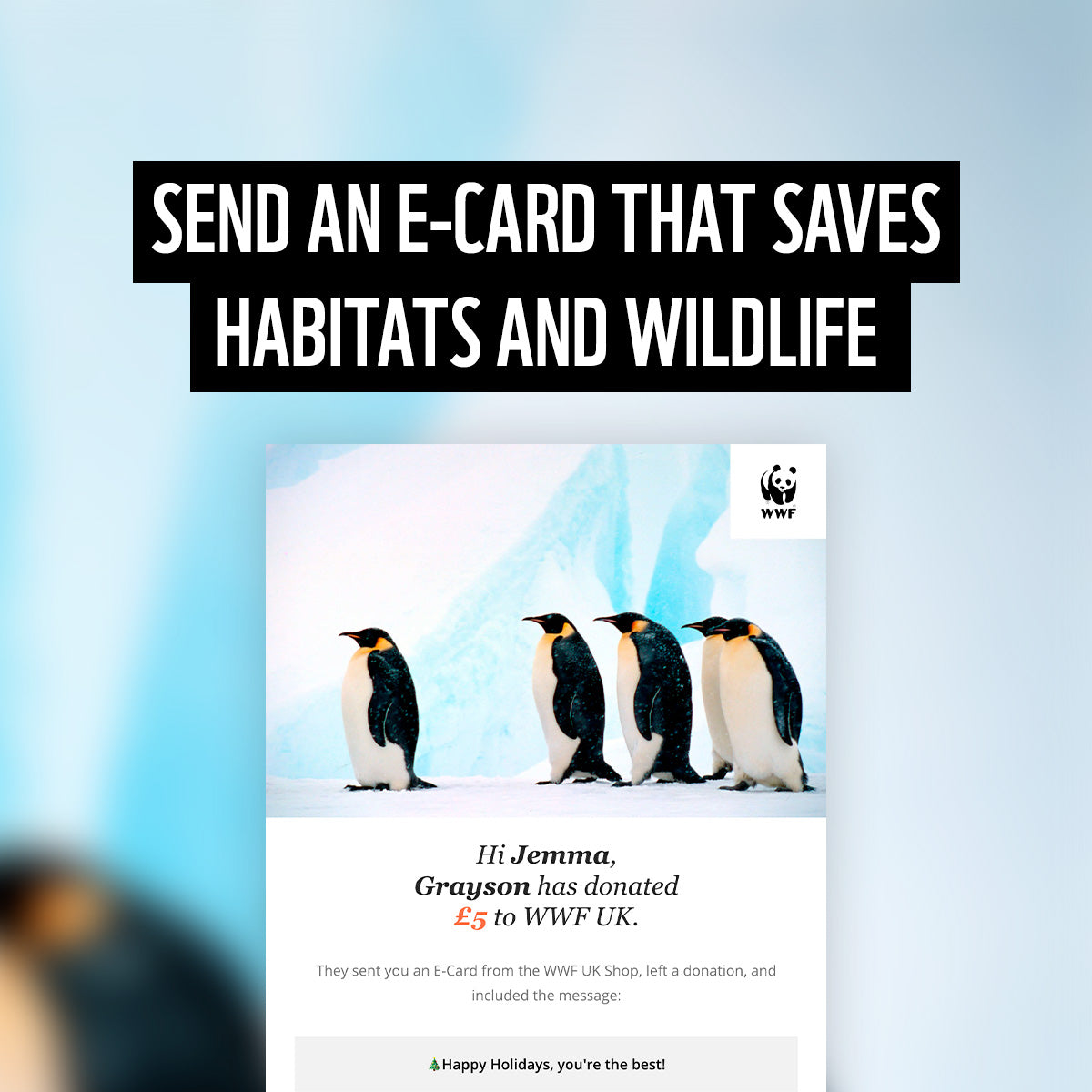 E-Cards | WWF UK