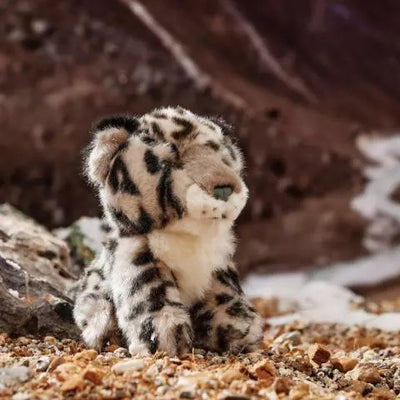 Adopt a Snow Leopard