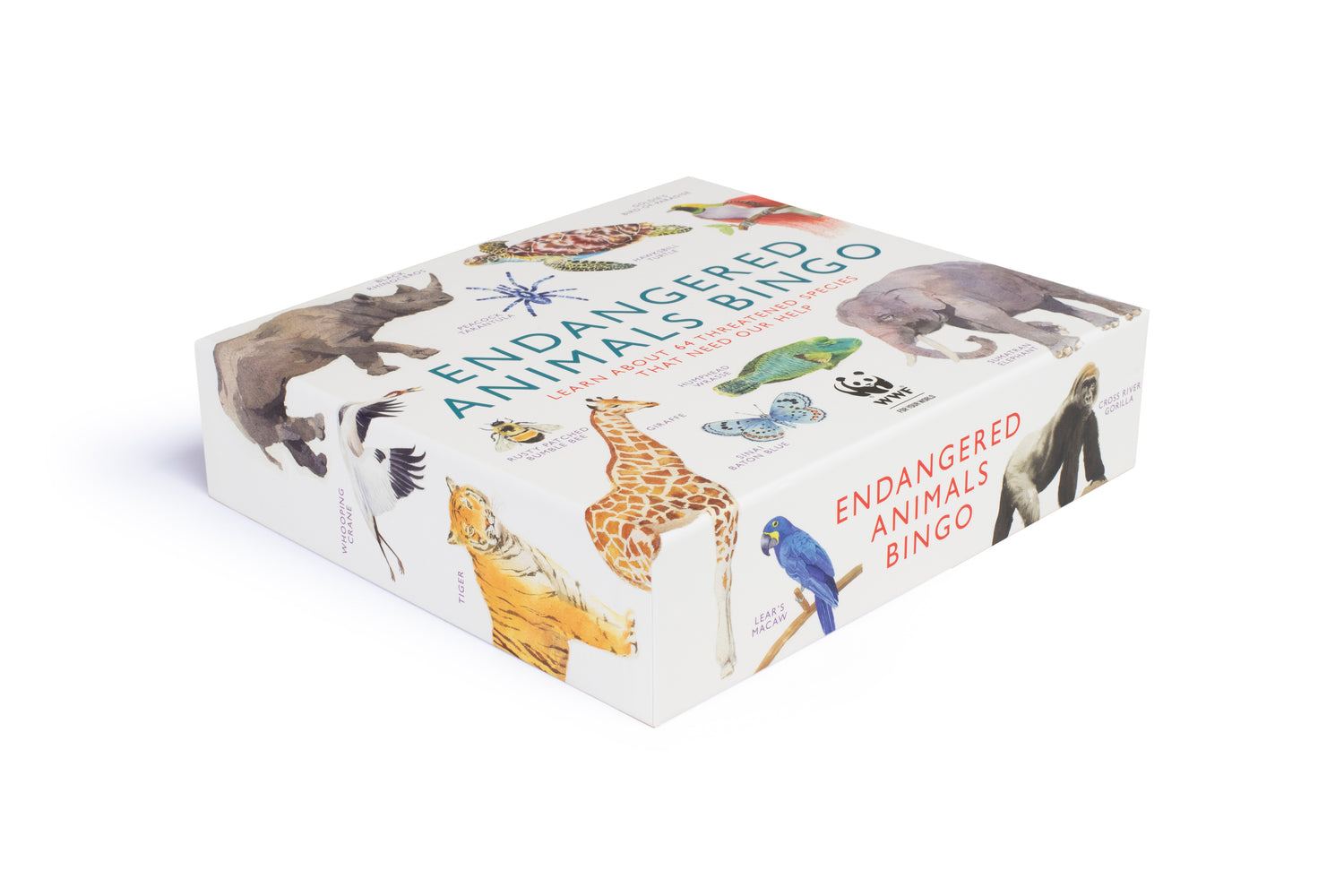 Endangered Animals Bingo