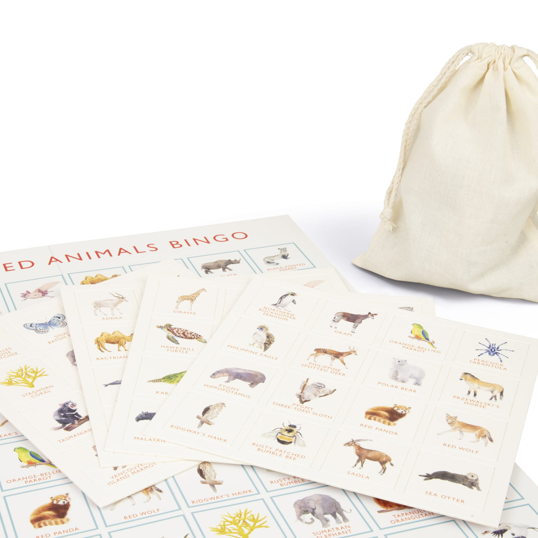 Endangered Animals Bingo