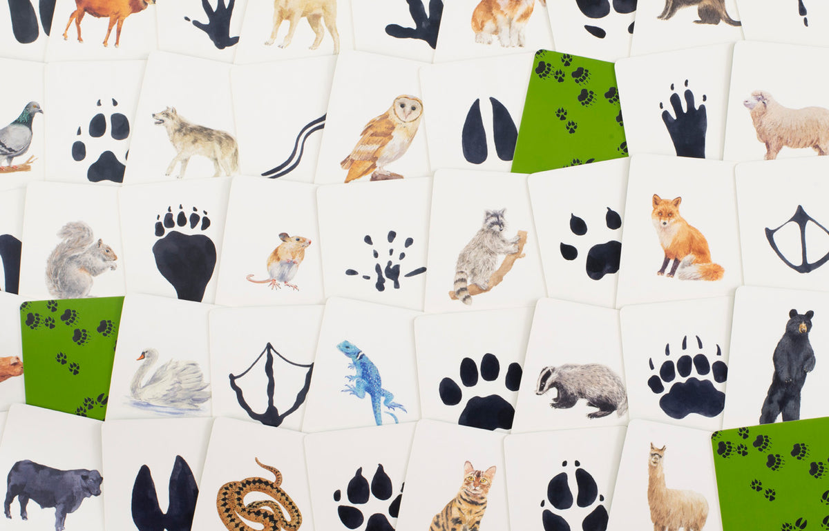 Match a Track Near You